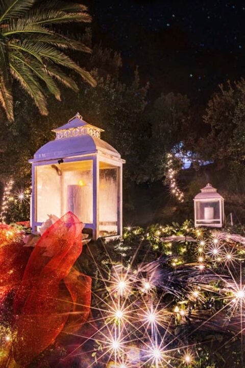 RAB DANAS|Rab - službene stranice